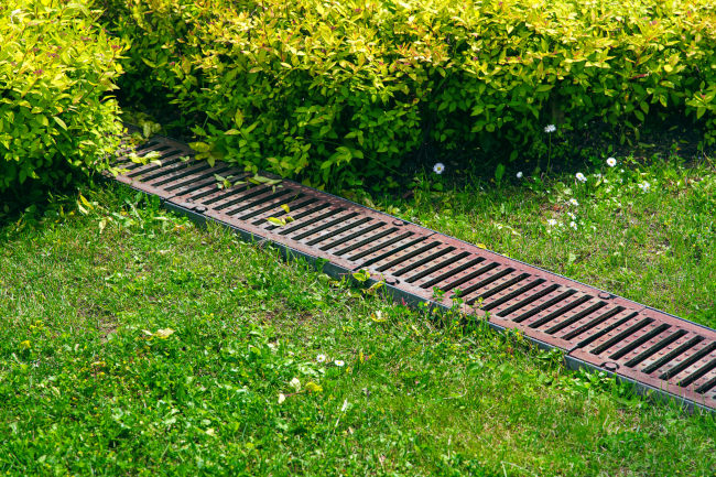 What You Need to Know About Landscape Drainage