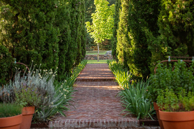 Three Landscape Design Ideas to Inspire You | Serene Landscape Consulting